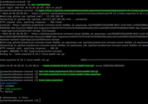 how to install prometheus monitoring and node exporter on