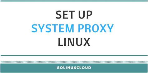 how to set up proxy using proxy and proxy environment variable