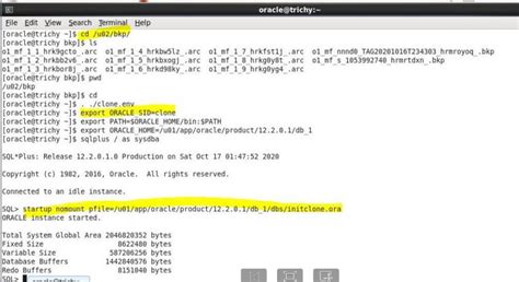 rman backup based cloning database using oracle 12c
