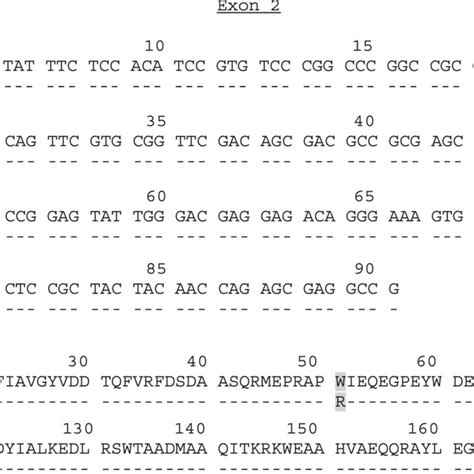 A The Dna Sequence Of A 24 244 Is Identical To A 24 02 01 01 In Exons