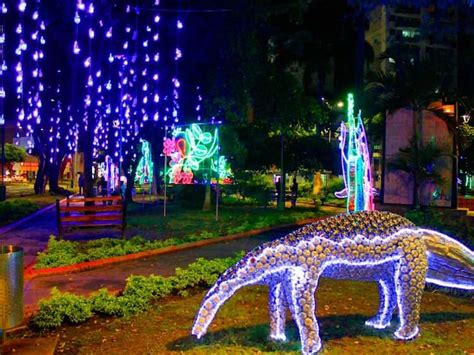 El 30 De Noviembre Estará Listo El Alumbrado Navideño En Bucaramanga