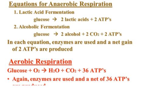 Lactic Acid Fermentation Equation