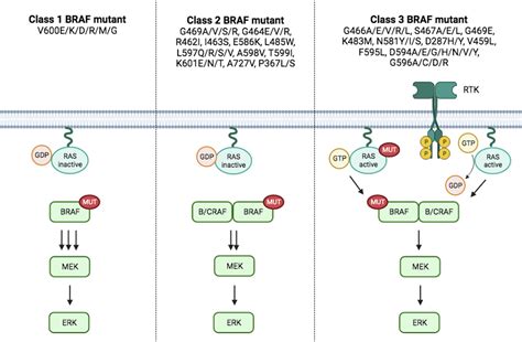 How Far We Have Come Targeting Braf Mutant Non Small Cell Lung Cancer