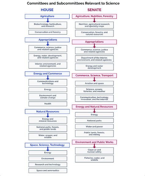 House And Senate Differences Chart