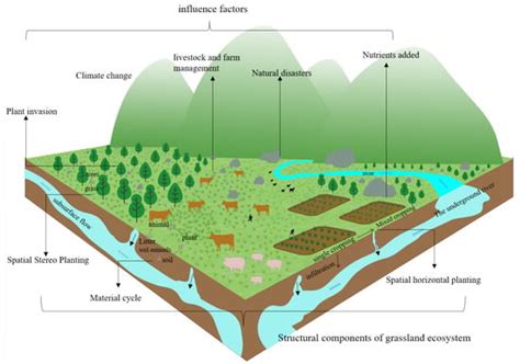 Plants Free Full Text Research Progress Of Grassland Ecosystem