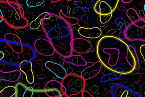 What Is String Theory New Scientist