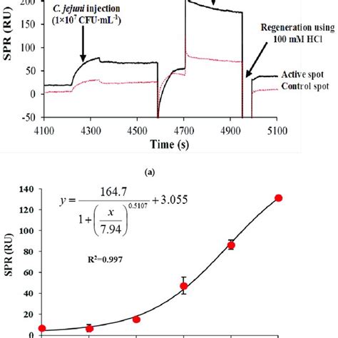 The Surface Plasmon Resonance Spr Sensorgram Showing The Binding