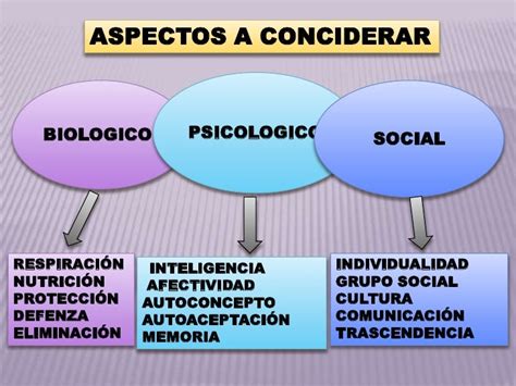 Unidad Bio Psico Social[1]