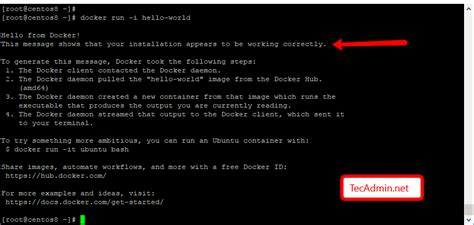 How To Install Docker On Centos Rhel 8 Tecadmin