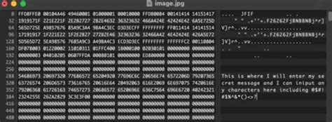 steganography how to hide text inside any file using hex editor