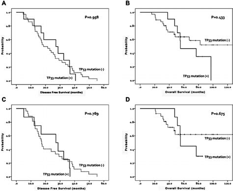Comparison Of Disease Free Survival And Overall Survival With Respect