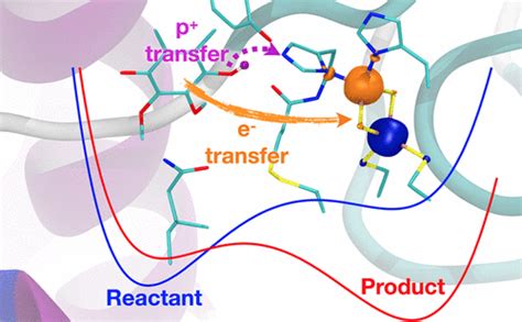 Theoretical Description Of The Primary Proton Coupled Electron Transfer
