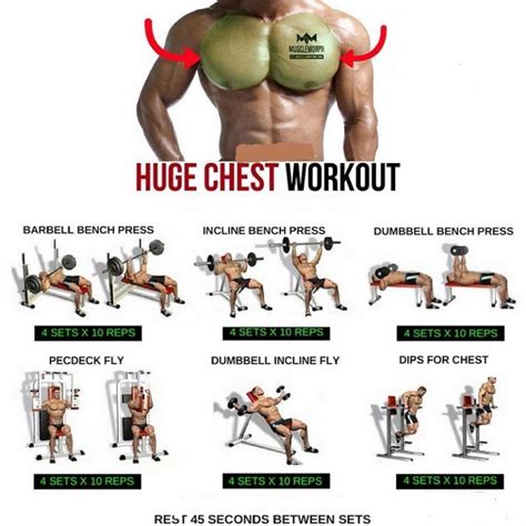 Step By Step Complete Workout Tip And Guide Demographics Ultimate