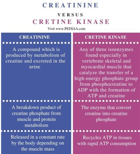 What Is The Difference Between Creatinine And Creatine Kinase Pediaa Com