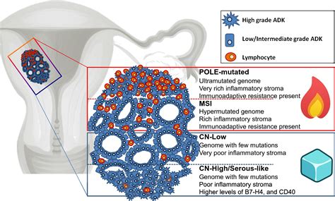 Molecular Approaches For Classifying Endometrial Carcinoma