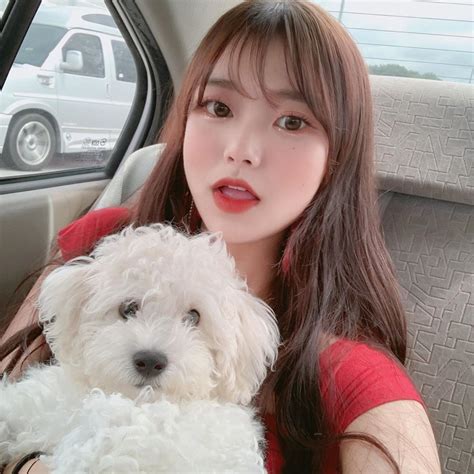 좋아요 2 126개 댓글 30개 Instagram의 천지인 Jiinflower 님 눈나랑 놀로가쟈🐶 Идеи