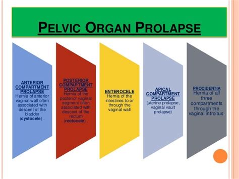 Pelvic Organ Prolapse