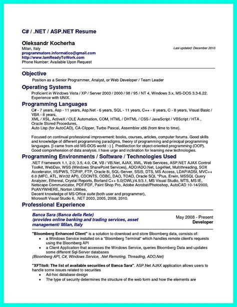 computer programmer resume has some paragraphs that focuses on the project management object