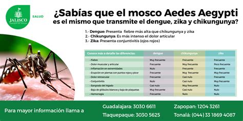 Realizará La Ssj Acciones Para Combatir Dengue Chikungunya Y Zika En