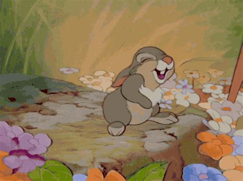 Thumper Wiki Disney Amino