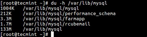 how to check mysql database size in linux how to fix