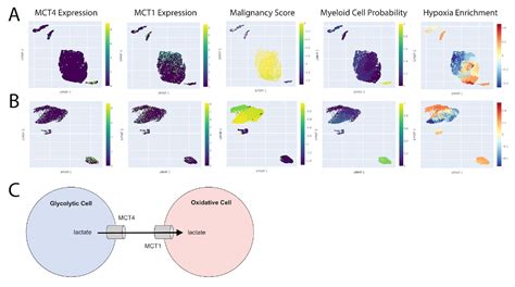 Pdf Charts A Web Application For Characterizing And Comparing Tumor