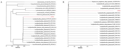 Comparative Genomics Analysis Provides New Insights Into High Ethanol