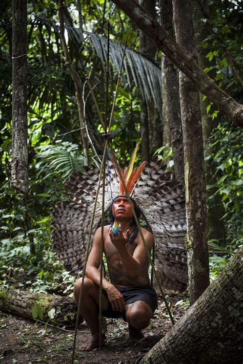 Brazil Wonders Indios Brasileiros Índio Brasil Povo Nativo