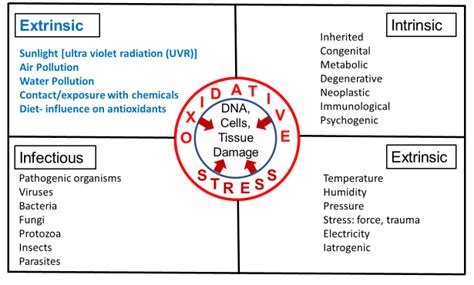 Extrinsic Risk Factors
