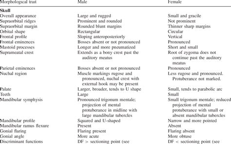 morphological sex differences in the skull and bony pelvis