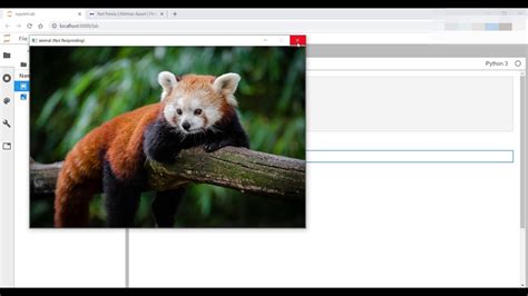 opencv python read image and show youtube