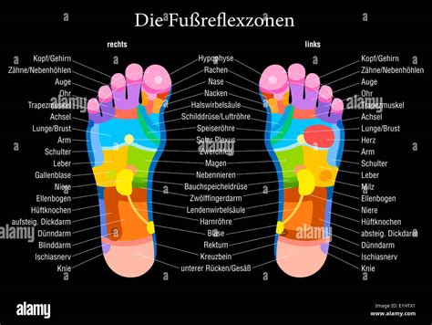 Fuß Reflexzonenmassage Chart Mit Genauer Beschreibung Deutsche