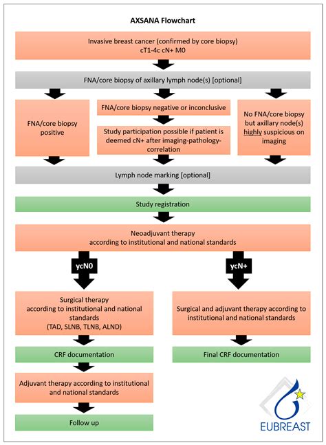 Cancers Free Full Text Surgical Management Of The Axilla In