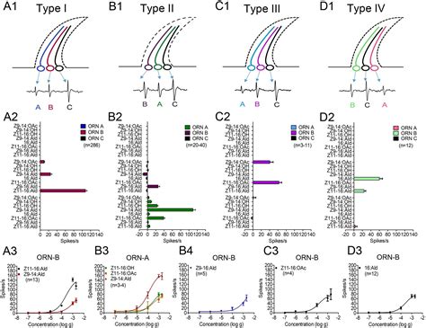 Frontiers Functional Characterization Of Sex Pheromone Neurons And