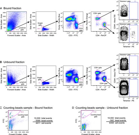 Peptide Mhc Tetramer Based Enrichment Of Epitope Specific T Cells Pmc