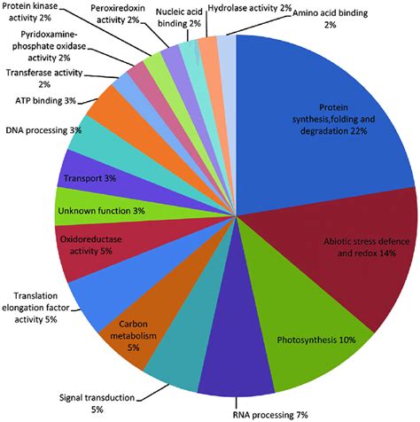 Functional Classification Of Differentially Abundant Proteins Under