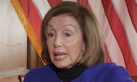 Nancy Pelosi Opponent 2024 Maggi Rosetta