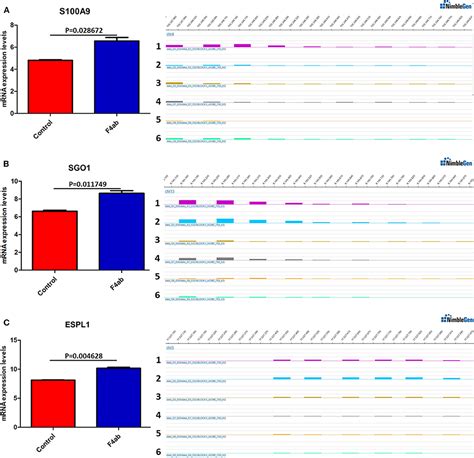 Frontiers Combined Analysis Of Dna Methylome And Transcriptome Reveal