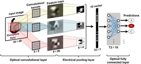 the architecture of the optical cnn including a convolutional layer