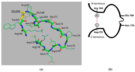 Biomolecules Free Full Text The Role Of The Ω Loop In Regulation Of