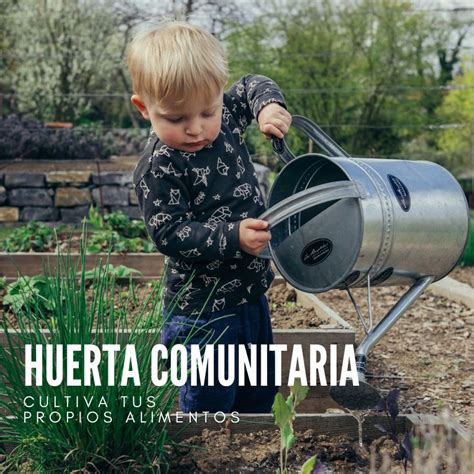 Huerta Comunitaria Cultiva Tus Propios Alimentos Kibutz Sociedade