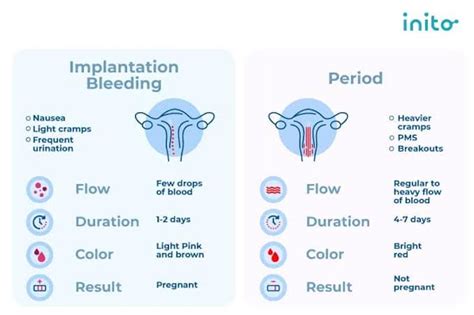 What Is Implantation Bleeding How To Recognize It