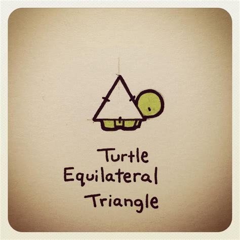 turtle equilateral triangle turtle drawing turtle triangle