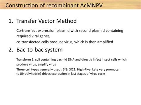 Baculovirus Expression Vector System