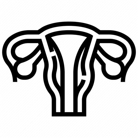 Uterus Gynaecology Female Reproductive System Ovary Png Clipart Black