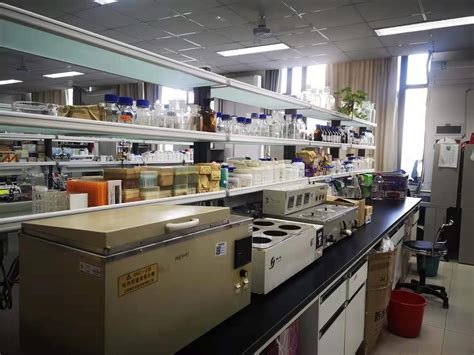 关于微生物技术研究院实验室“安全之星”评比的表彰决定 微生物技术国家重点实验室
