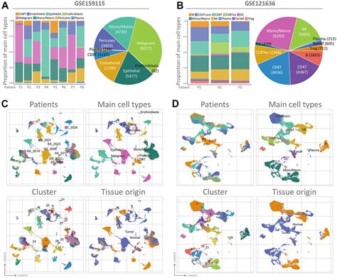 Single Cell Landscape And Spatial Transcriptomic Analysis Reveals