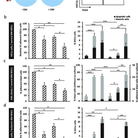 Cbx Reduces The Bm Msc Induced Chemoresistance Of Aml Cells To