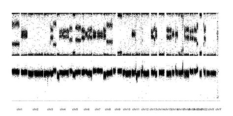 How To Plot B Allele Frequency And Log R Ratio Using R