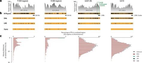 Position Density And Relative Age Of Transposable Elements In The Sex